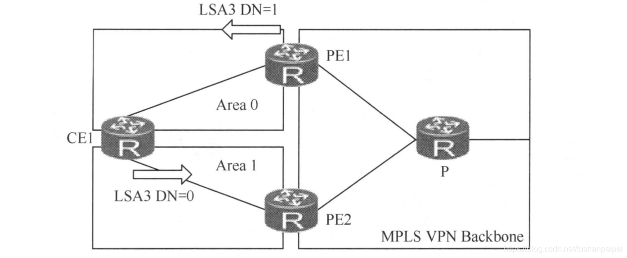 Mpls Virtual Private Network Pe Ce之间的路由协议(ospf) Ospf Dn比特位 Csdn博客