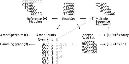 Denoising DNA deep sequencing data—high-throughput sequencing errors and t对DNA深度测序数据进行去噪-高通量测序错误 ...