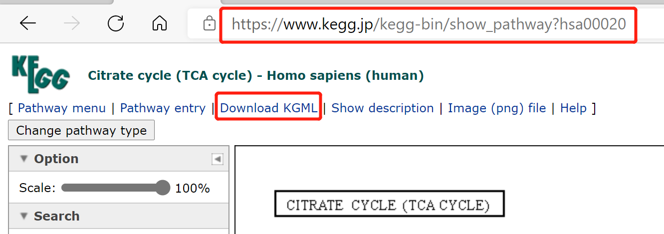 认识 KEGG PATHWAY 数据库-CSDN博客