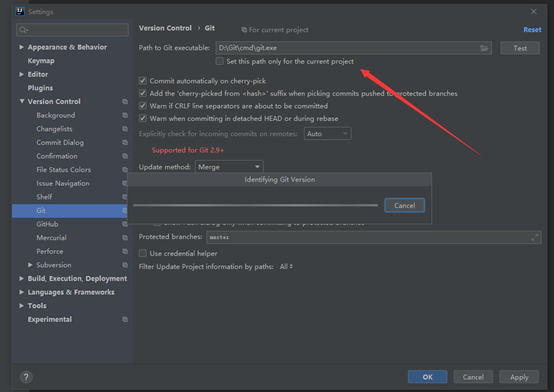 Cannot identify version of git executable: no response - Programmer Sought