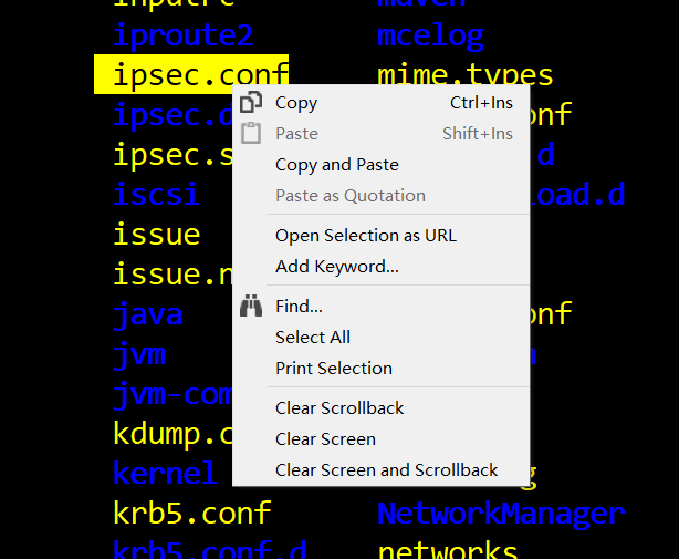 SecureCRT软件的使用_用securecrt分别登录两个节点,对cpu、内存、操作系统内核、ip地址设置、磁盘分区-CSDN博客