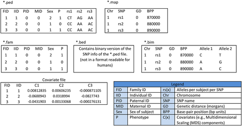 Plink GWAS学习笔记_个体缺失位点,单个snp缺失个体-CSDN博客