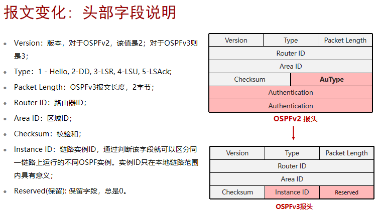 7. OSPFV3报文_ospfv3 hello-CSDN博客