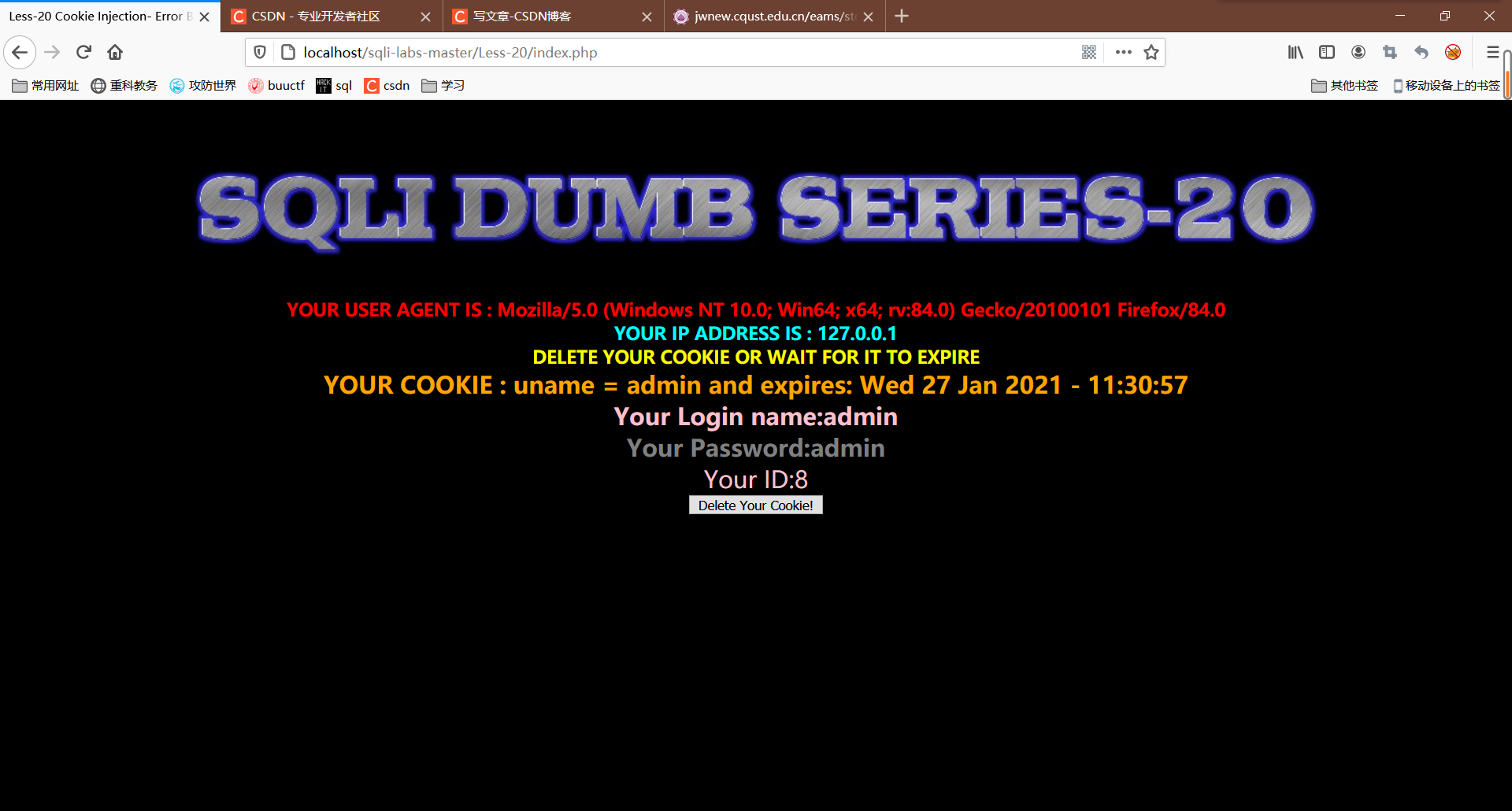 sqli-labs 20_sqli-lab20-CSDN博客