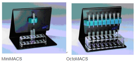 免疫磁珠法分离细胞原理/MACS微珠（MicroBeads/MACS分选柱（Separation Column） _齐岳生物科技在线的博客 ...