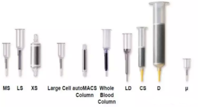 MACS磁珠标记细胞分选技术_磁珠分选细胞后如何去除磁珠-CSDN博客