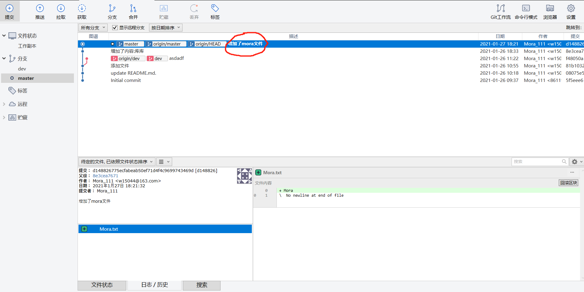保姆级教程：如何安装与使用sourcetree，并连接你的gitee仓库_sourcetree gitee-CSDN博客