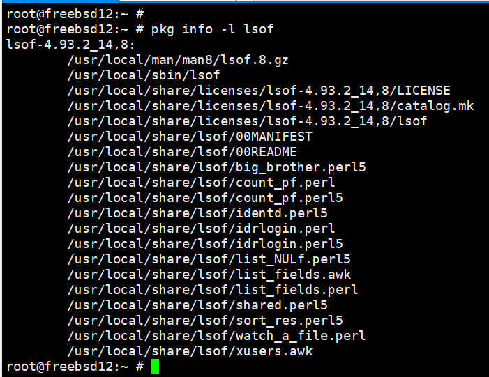freebsd pkg常用命令_freebsd pkg-CSDN博客