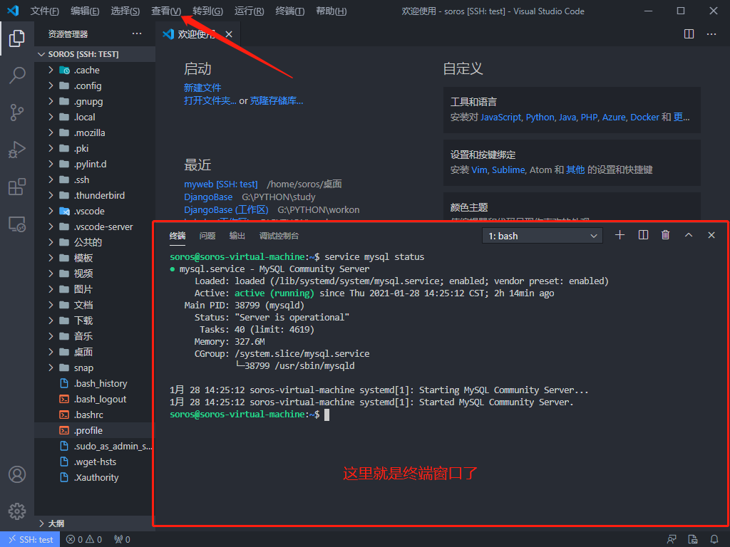 用vscode做ssh远程终端，弃坑xshell_vscode ssh连接远程服务器 只能看目录 没有终端 显示状态栏-CSDN博客