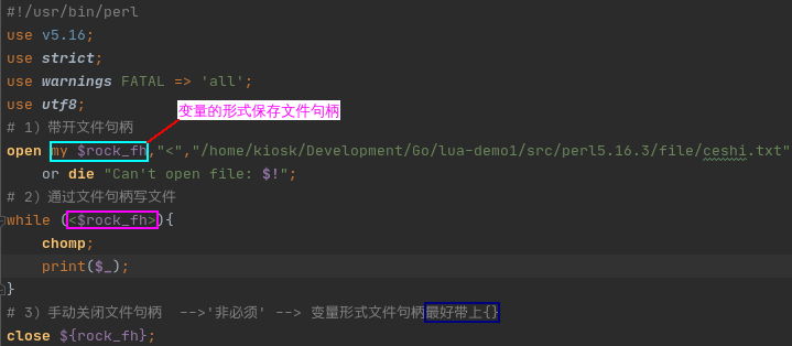 Perl(十七)输出和输出(二)文件句柄_perl 句柄-CSDN博客