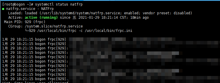 【CentOS7】SakuraFrp配置开机自启动 [最新配置2021-01-29 亲测可用]_centos 安装sakura frp-CSDN博客