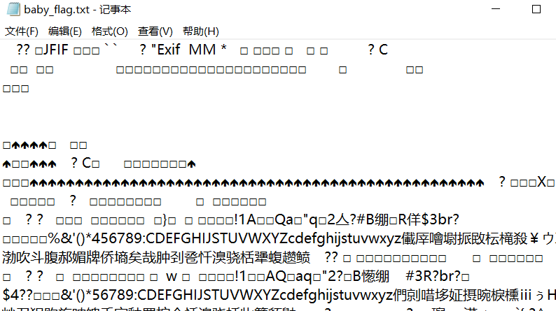 Bugku：baby_flag.txt-CSDN博客