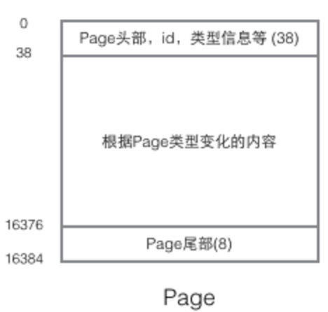 MySQL体系构架、存储引擎和索引结构_mysql segment为什么分为叶节点和非叶节点-CSDN博客