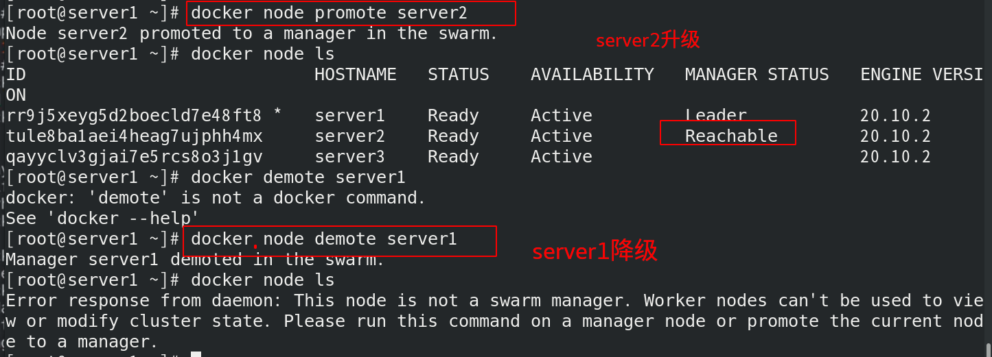 Docker Swarm(创建swarm集群，节点的升级降级，滚动更新，Portainer)_docker swarm 降级-CSDN博客