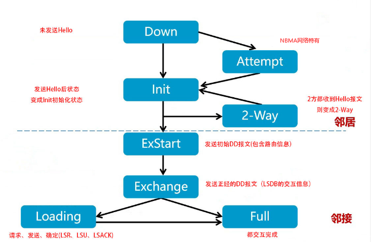 HCIE 面试资料-OSPF_ospf的options字段-CSDN博客