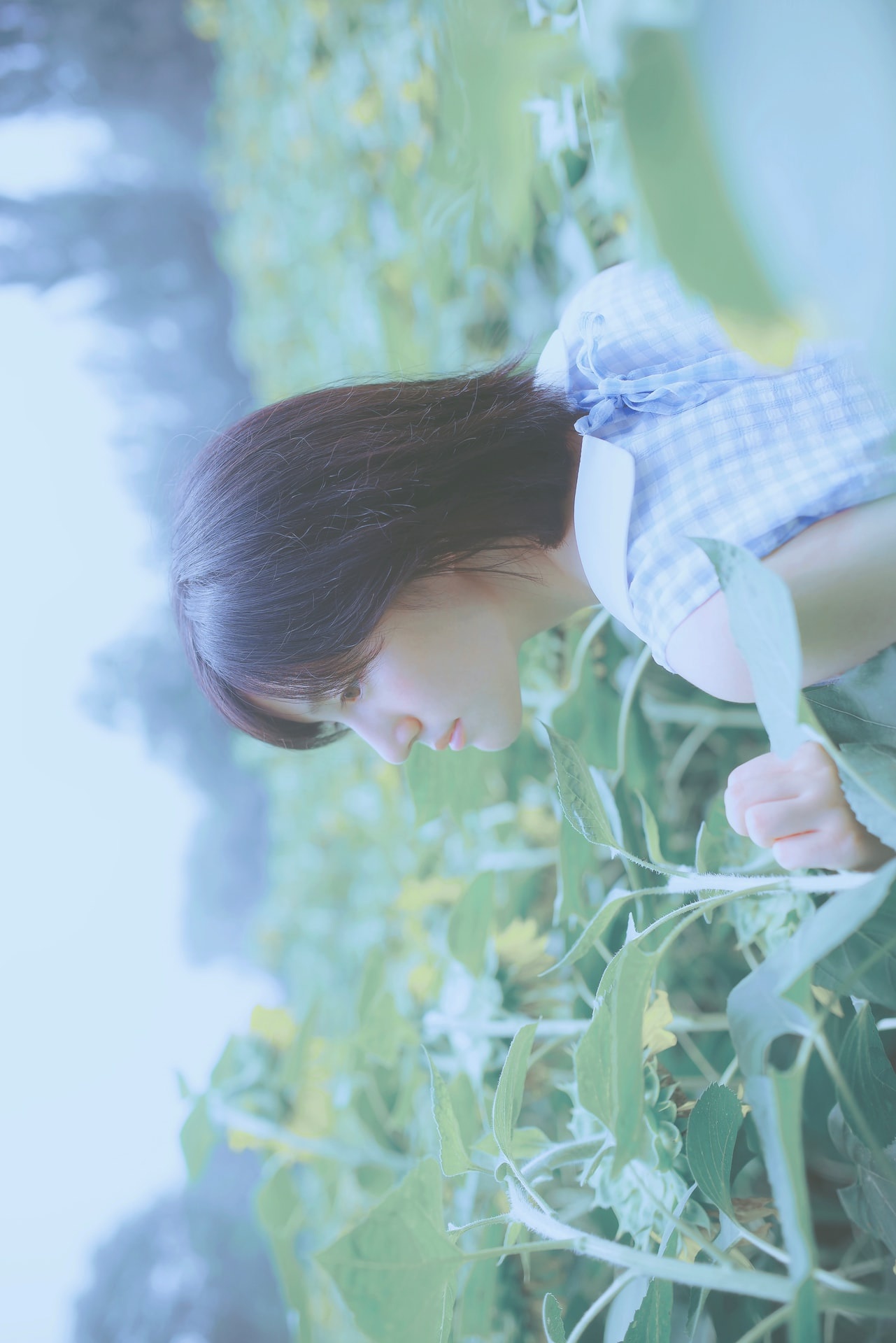 使用python+opencv和pillow以及numpy对图像进行旋转，以及解决图像旋转过程中出现的黑边问题_图像旋转 周围是黑色的-CSDN博客