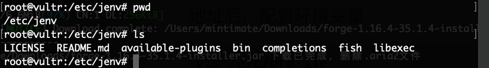 Linux手动安装JDK并配置多个版本JDK--JDK配置和Jenv的配置使用_linux安装俩个版本的jdk启动参数怎么填-CSDN博客