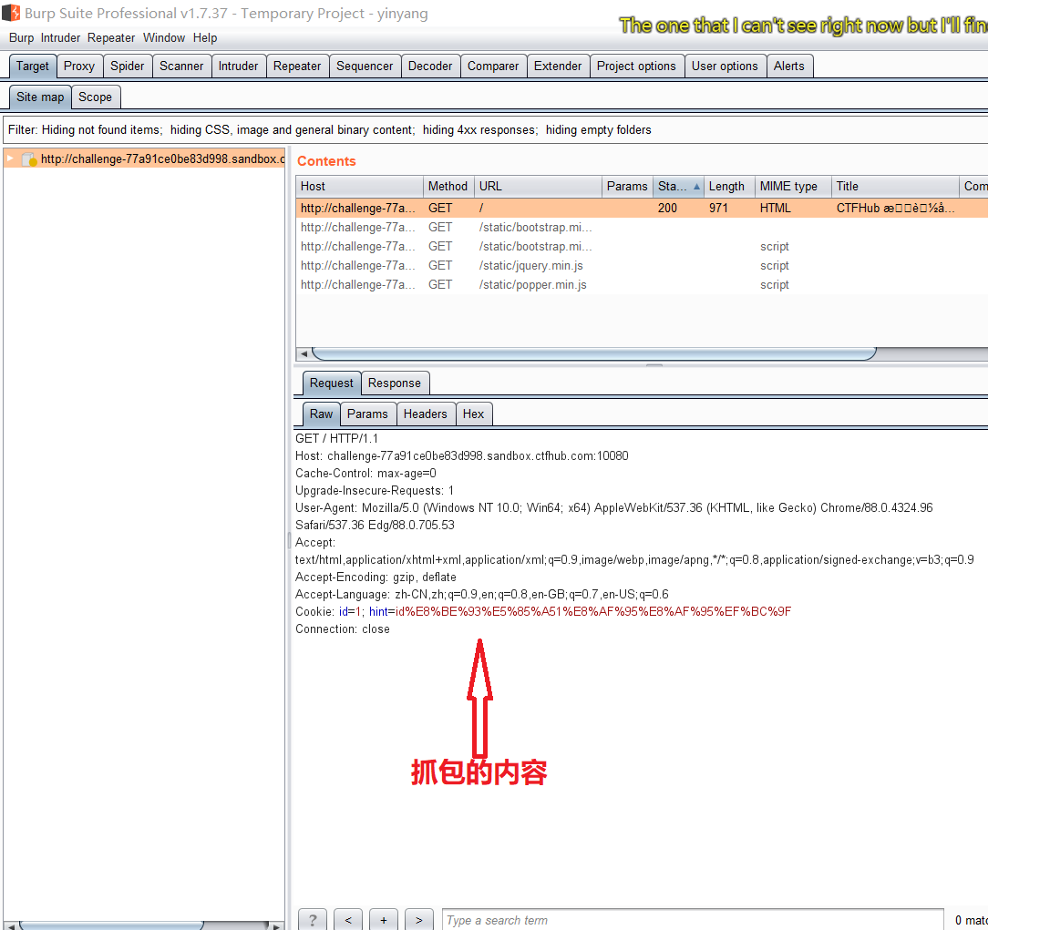 Cookie注入_bp中构造cookie-CSDN博客