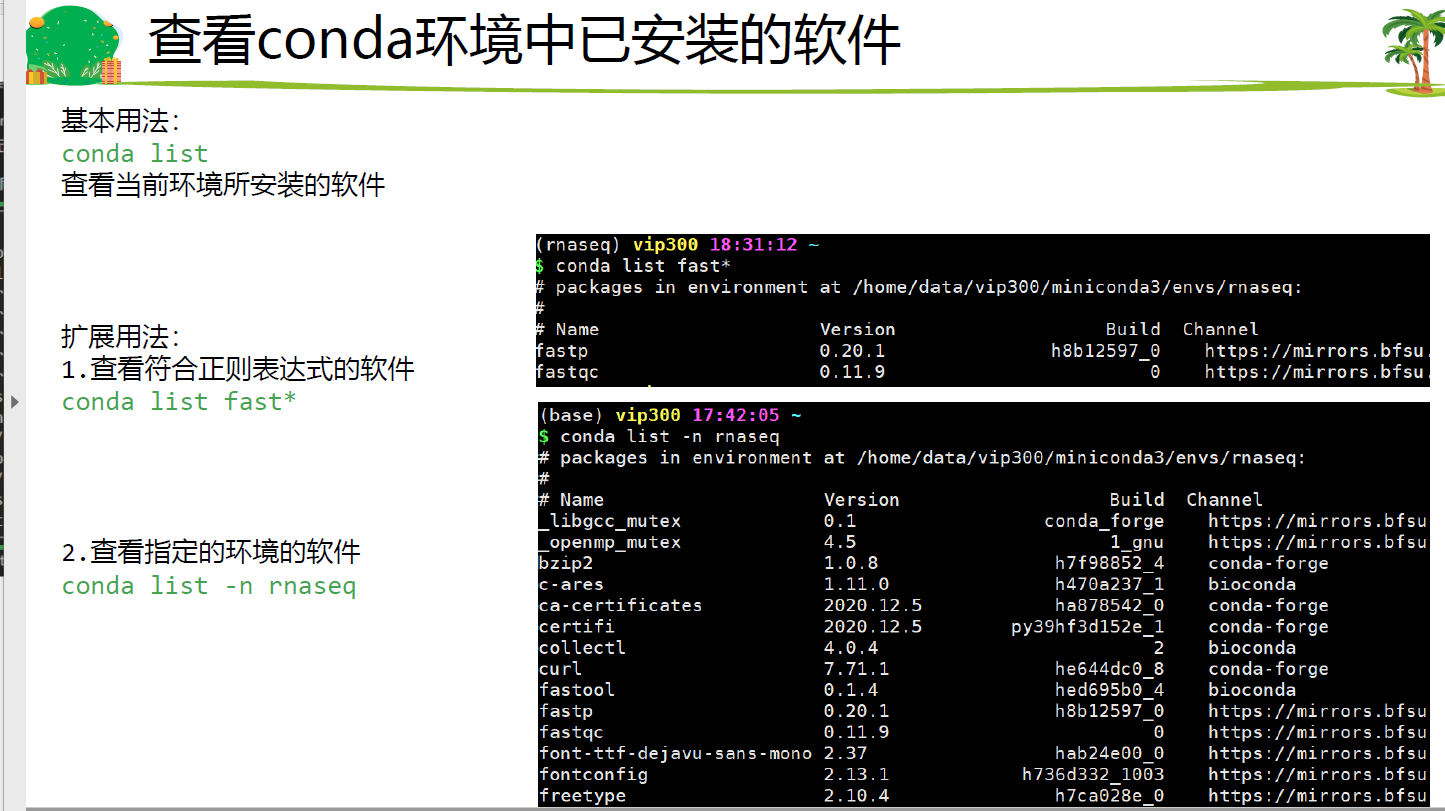 conda入门到精通-CSDN博客