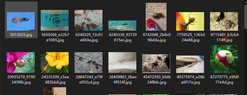 Pytorch 快速详解如何构建自己的Dataset完成数据预处理(附详细过程)_自建数据集如何处理才能进行重建带入-CSDN博客