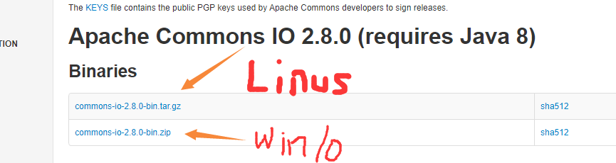 Apache IO包下载与添加 基于IDEA_idea daoru apachebao-CSDN博客