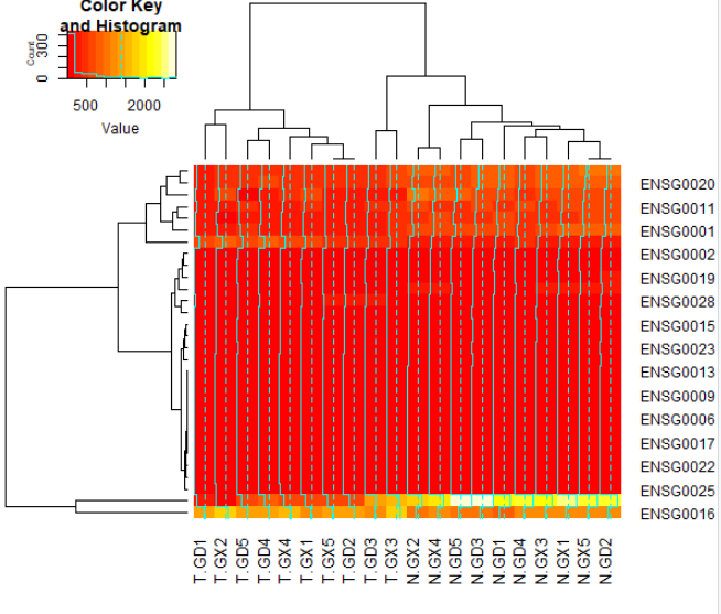 热图 heatmap.2 和 pheatmap_doheatmap和pheatmap-CSDN博客