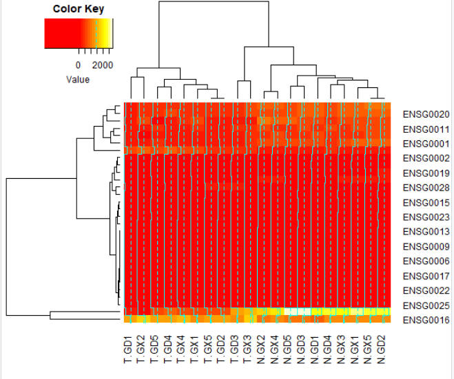 热图 heatmap.2 和 pheatmap_doheatmap和pheatmap-CSDN博客