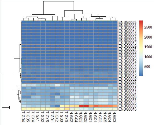 热图 heatmap.2 和 pheatmap_doheatmap和pheatmap-CSDN博客