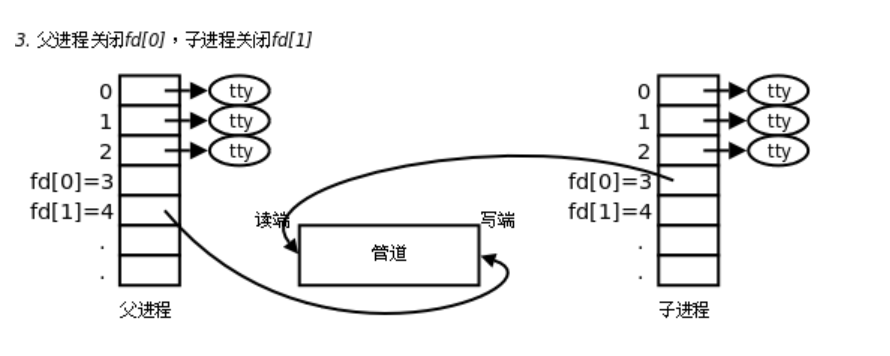 pipe和fork浅析_fork pipe-CSDN博客