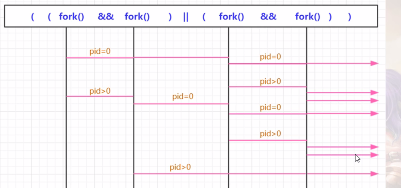 fork()函数详解-CSDN博客