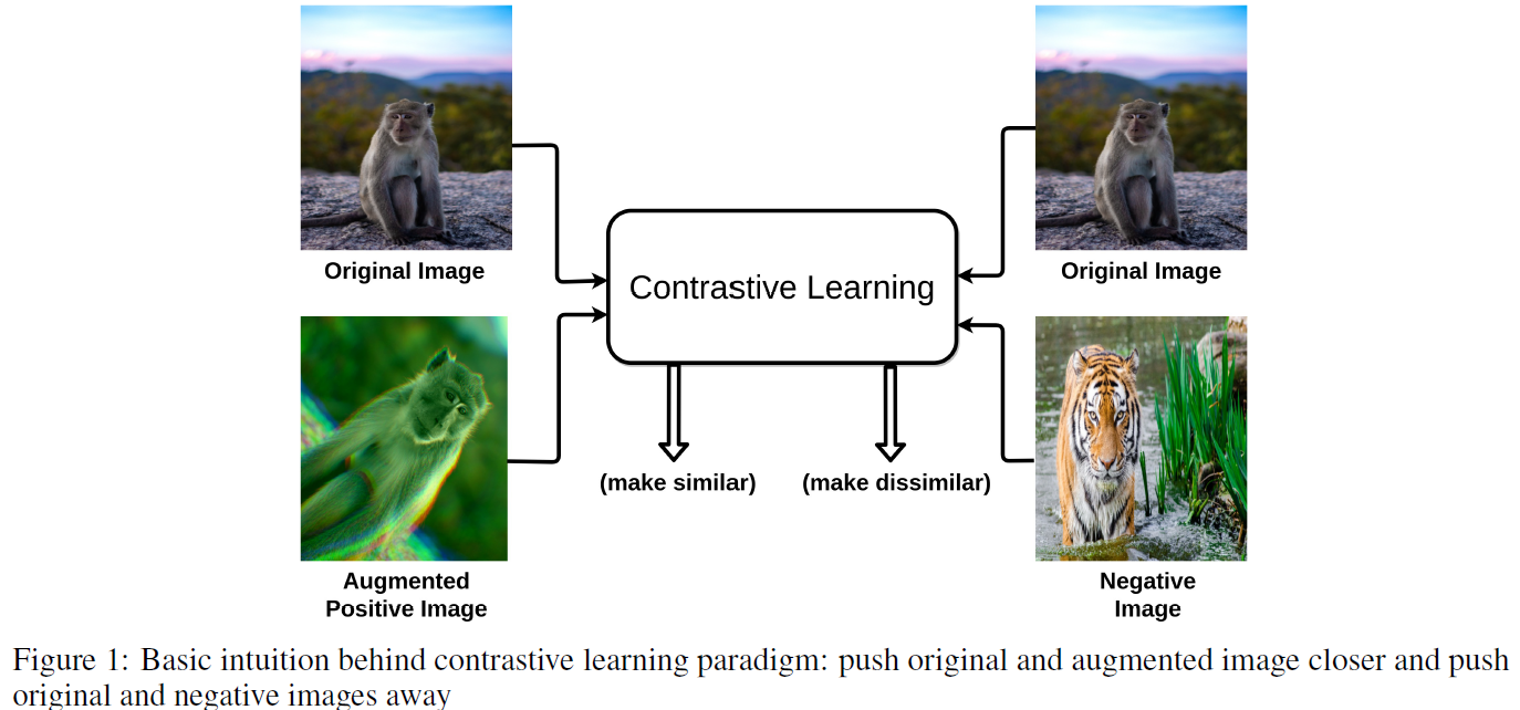 【论文阅读】A Survey on Contrastive Self-supervised Learning-CSDN博客