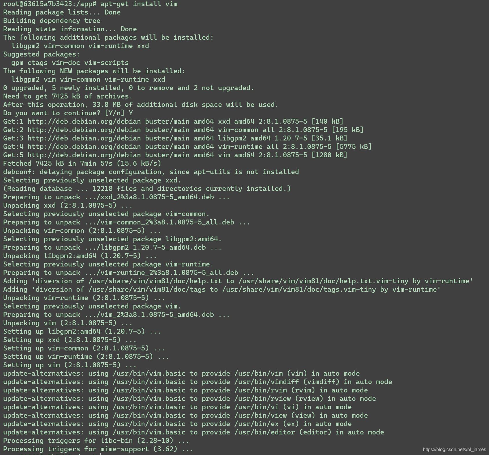 Docker:bash Vim Command Not Found Docker Bash Vim Command Not Found