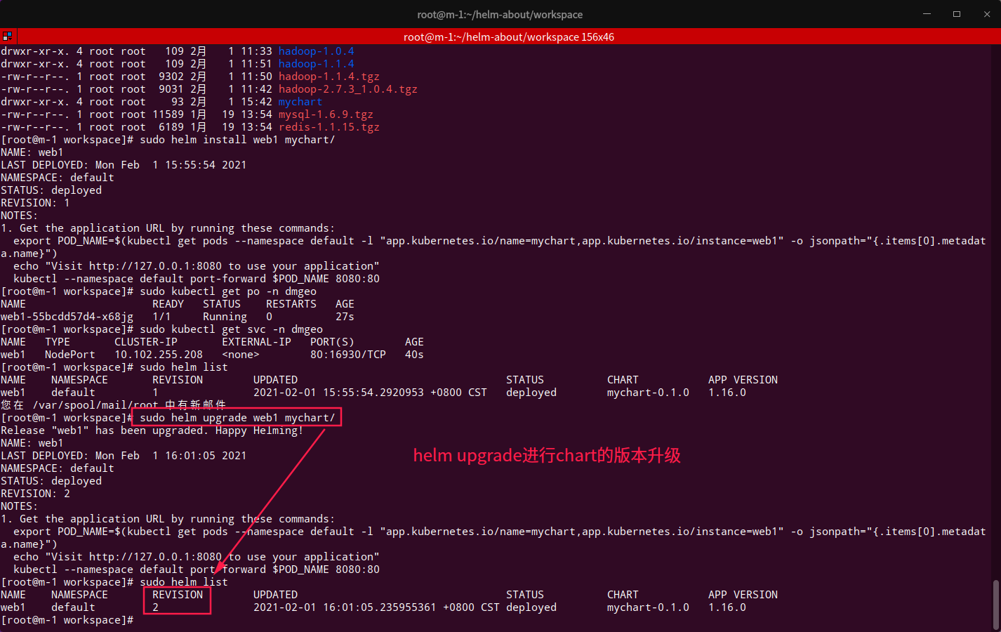 helm发布自定义Chart：指定namespace、设置NodePort_helm namespace-CSDN博客