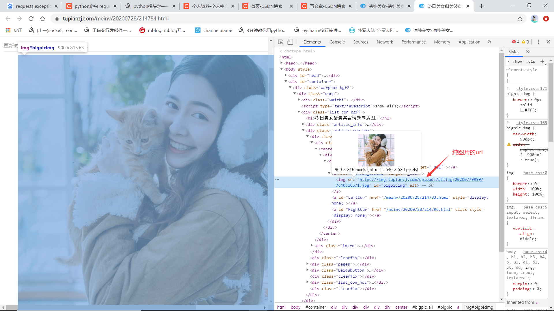 【爬虫实战】手把手教你使用python爬取美女图片_python 爬虫demo 美女-CSDN博客