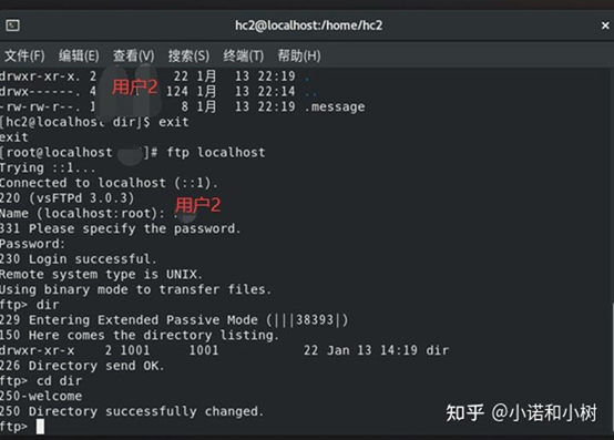 Red Hat Enterprise Linux 8部署FTP服务器_how to install ftp on redhat 8-CSDN博客