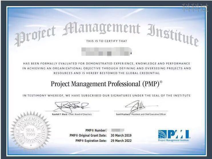 系统集成项目管理工程师和PMP®的对比_系统集成项目管理工程师与pmp-CSDN博客