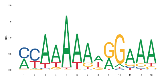 Cell综述：人类转录因子（The Human Transcription Factors）_transcription factor chlp-seg clusters (338 ...