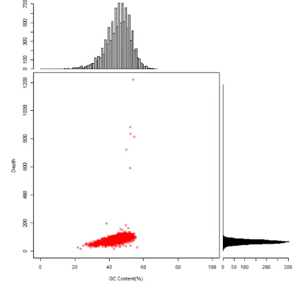 DC Depth图_基因组gcdepth图的window step一般设为多少-CSDN博客