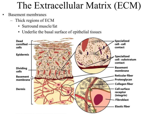 Rokit Healthcare公司简介及产品报告_rokit什么公司-CSDN博客