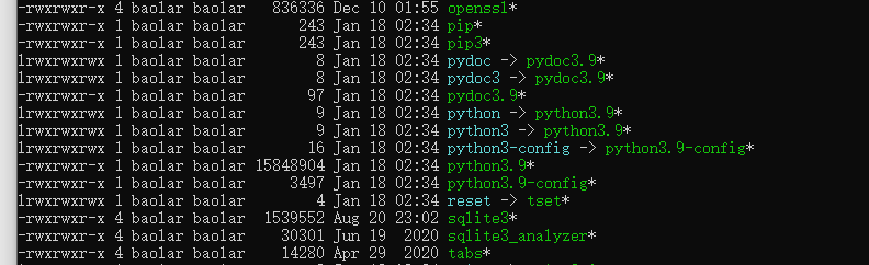 /home/Anaconda3/bin/python ：解释器错误：没有那个文件或目录-CSDN博客