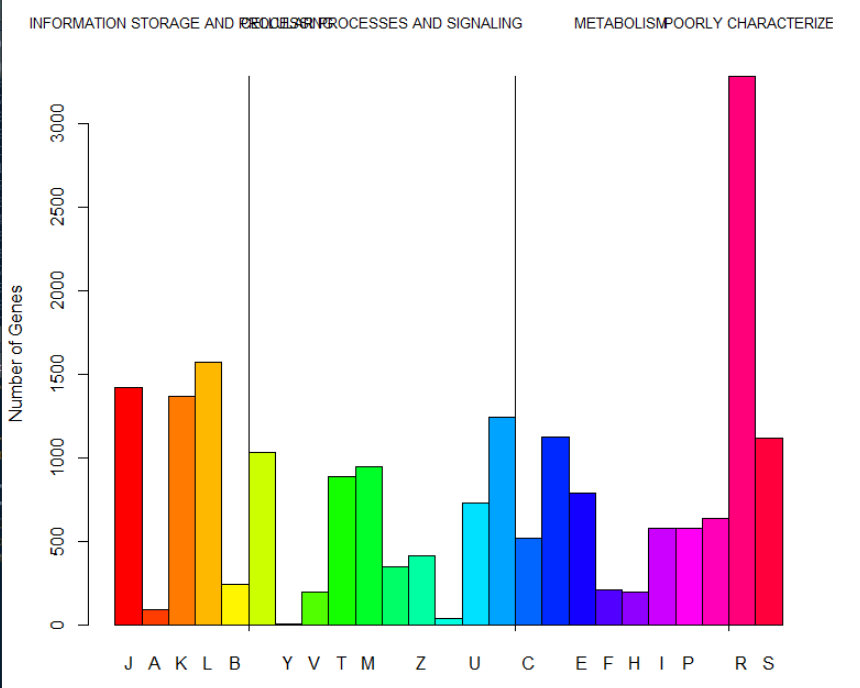COG功能注释图-CSDN博客