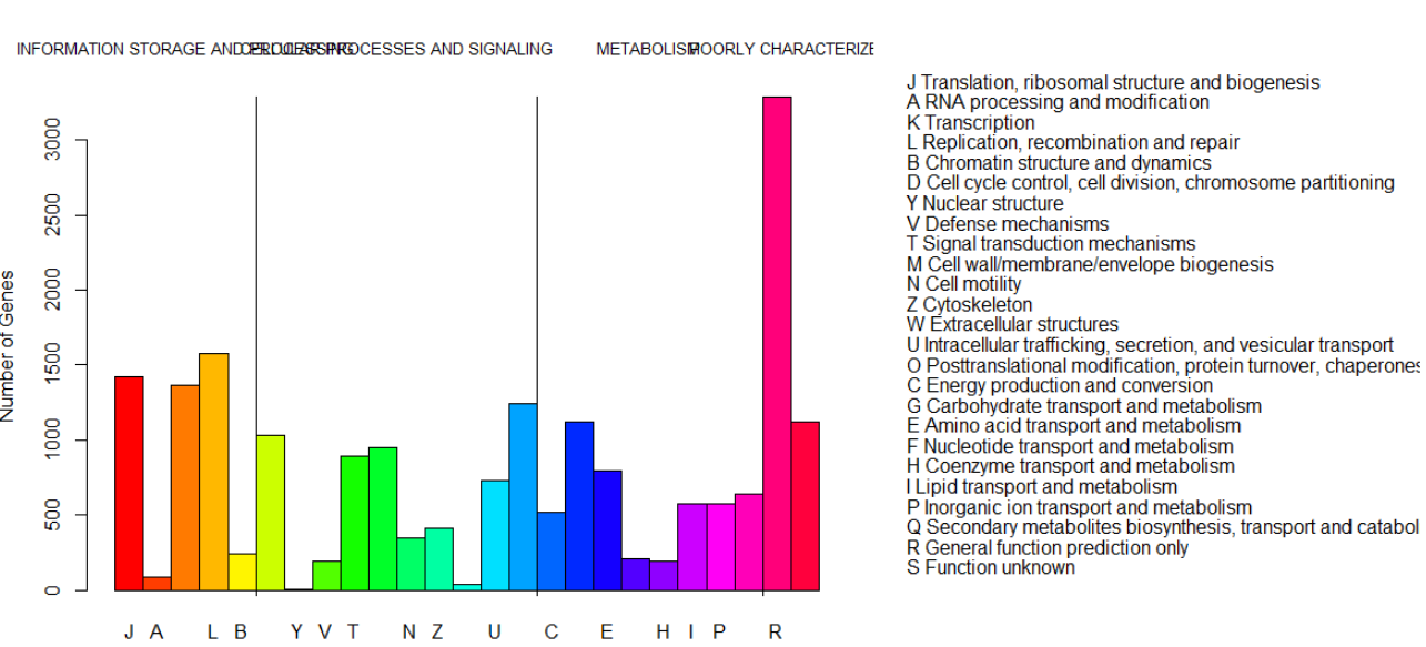 COG功能注释图-CSDN博客