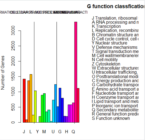 COG功能注释图-CSDN博客