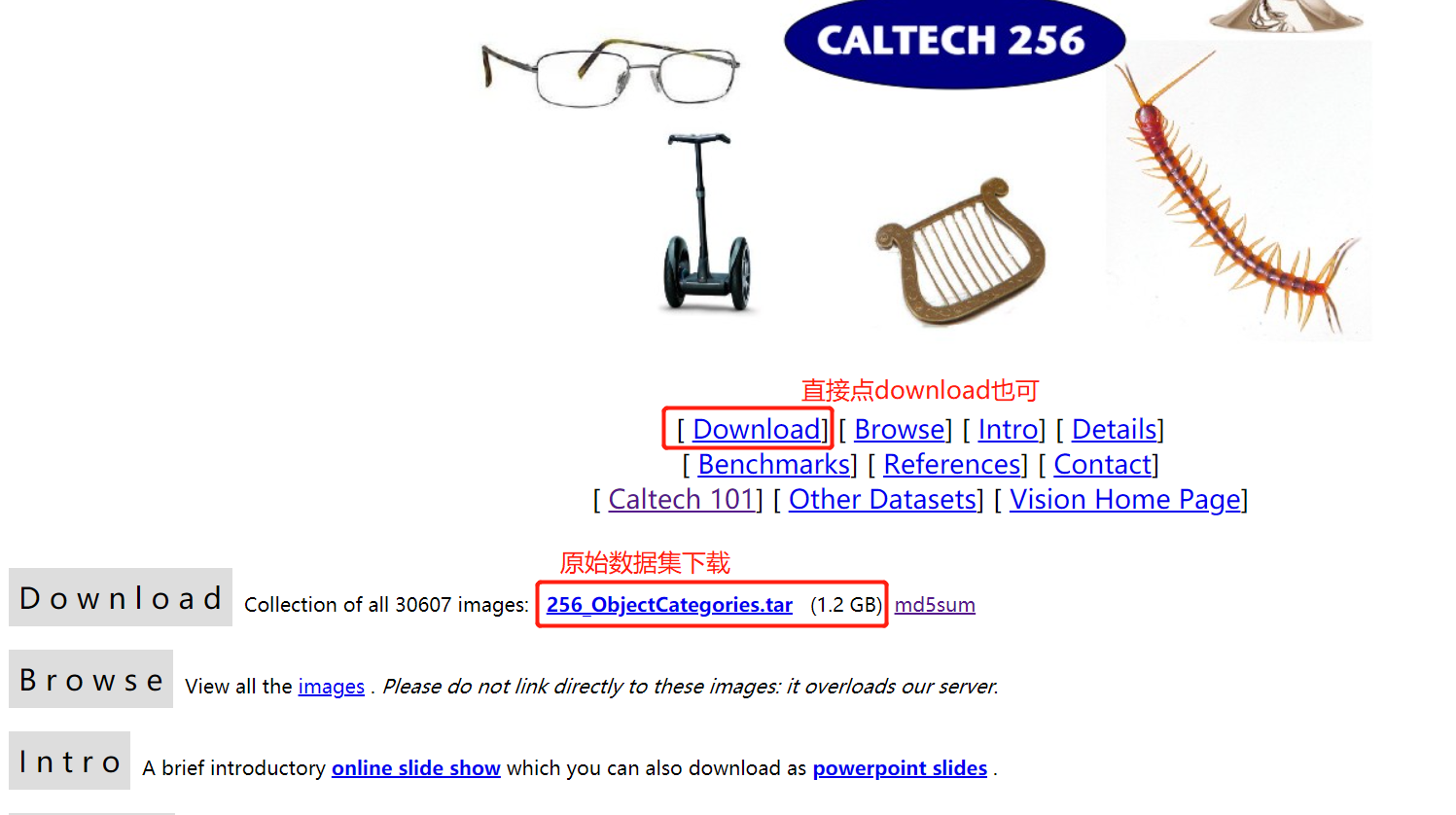 数据集：102 flower、Cratech256、ImageNet数据集下载_102 category flower dataset-CSDN博客
