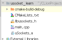C/C++编程：uSockets与uWebSockets【坑了，不要看，这玩意太坑了】-CSDN博客