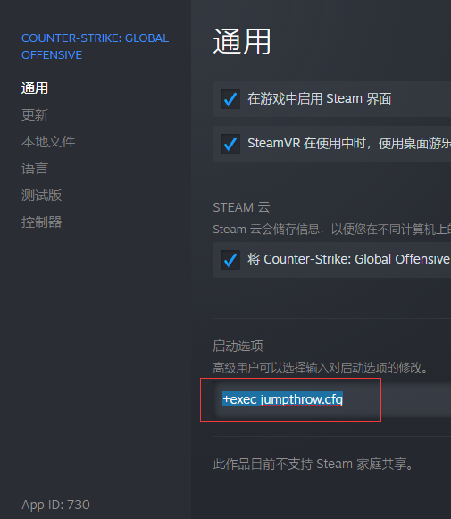 steam csgo 设置默认的启动项_steam配置cs国服启动-CSDN博客