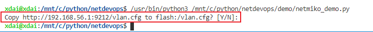 「python 网络自动化」netmiko ——使用 Netmiko 进行交互式操作 Csdn博客